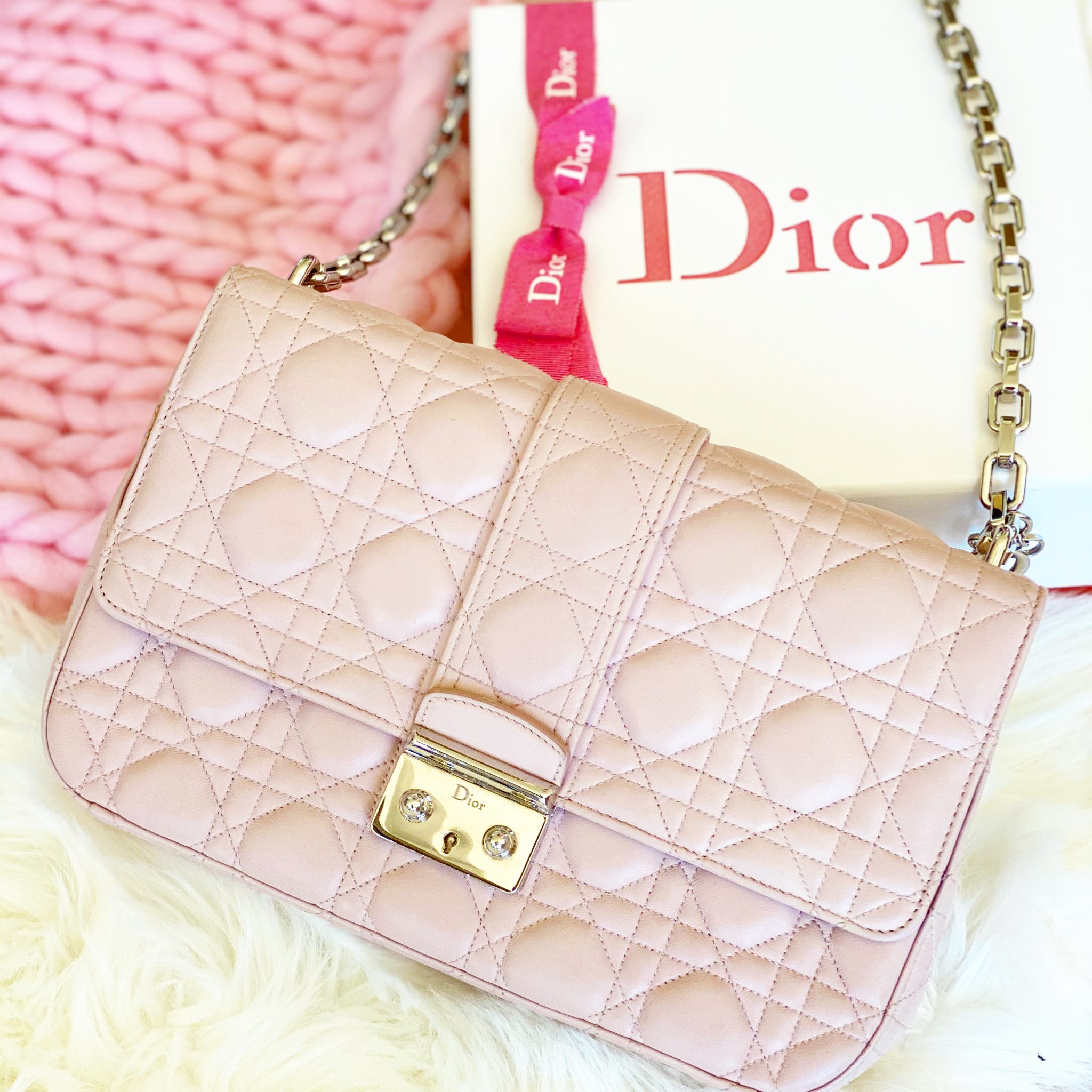 Sac Dior - LUXE FIFTH AVENUE